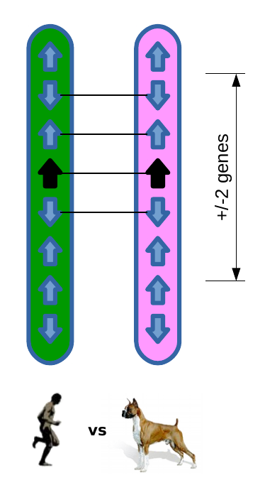 Orthology quality-controls